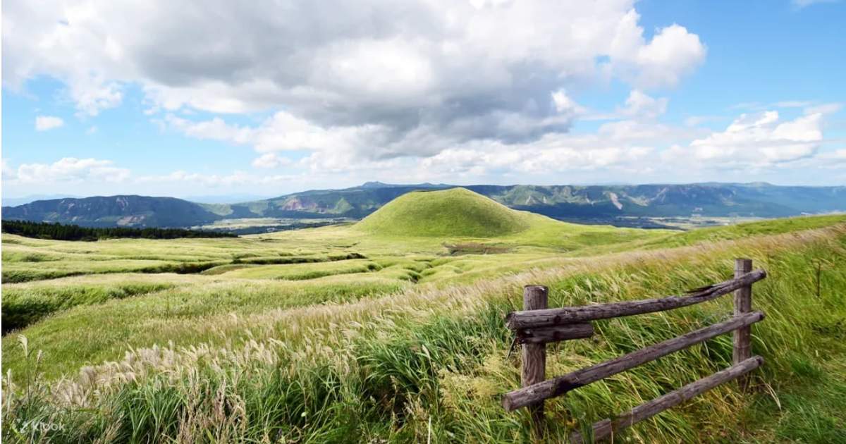 Geführte Tour durch Kyushu, Ooita und Yufuin mit Privatperson - Klook, Vereinigte Staaten
